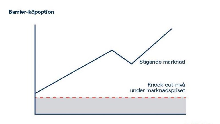 Vad är optioner och hur fungerar det? | InvestoRunner 2025